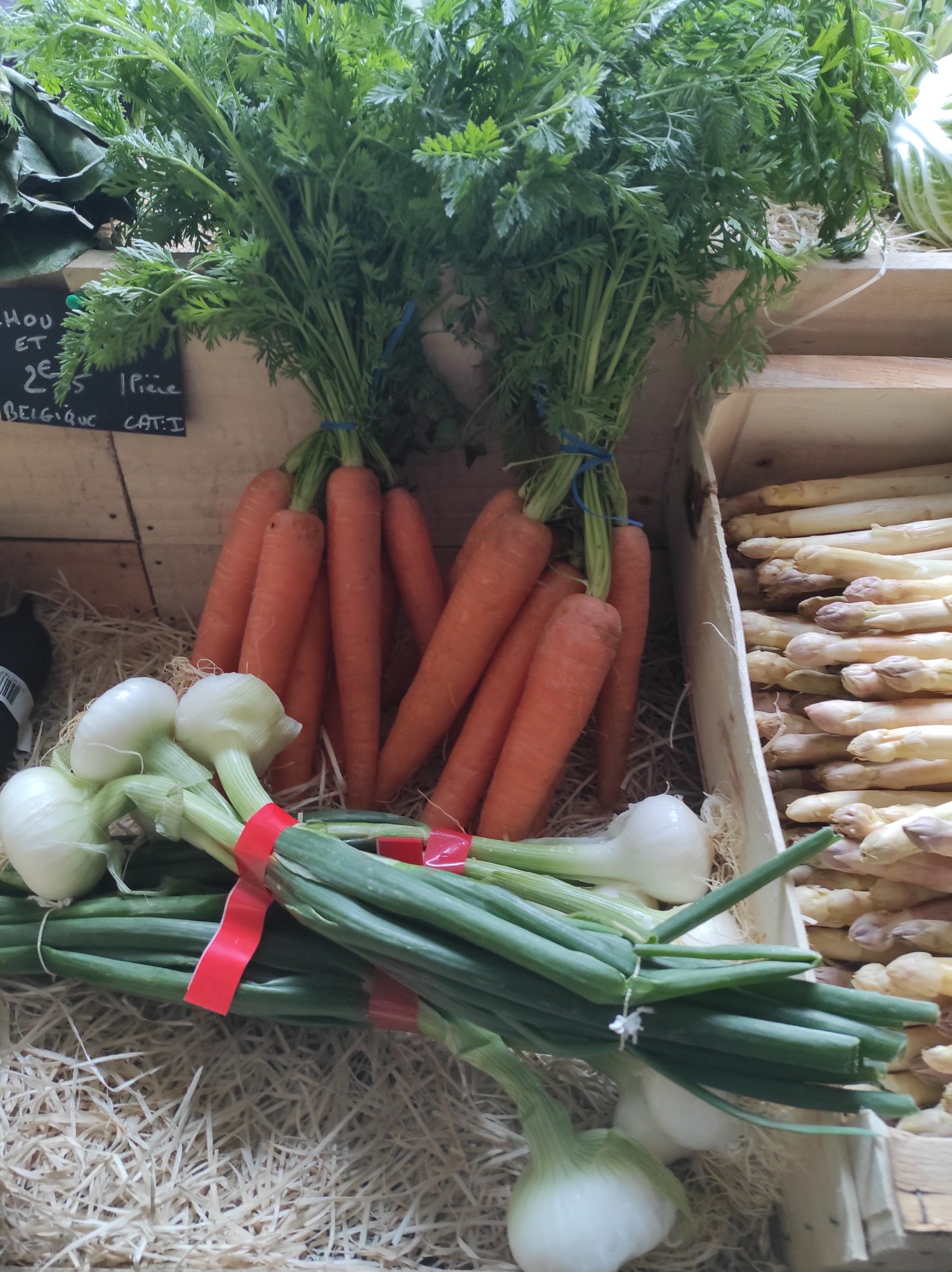 OIGNON Nouveau (la botte) – Auguste Le Primeur